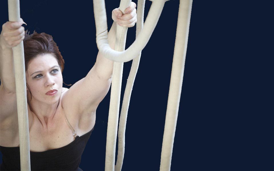 Danse aérienne - Spectacles | Estuaire Hebdo Saint-Nazaire